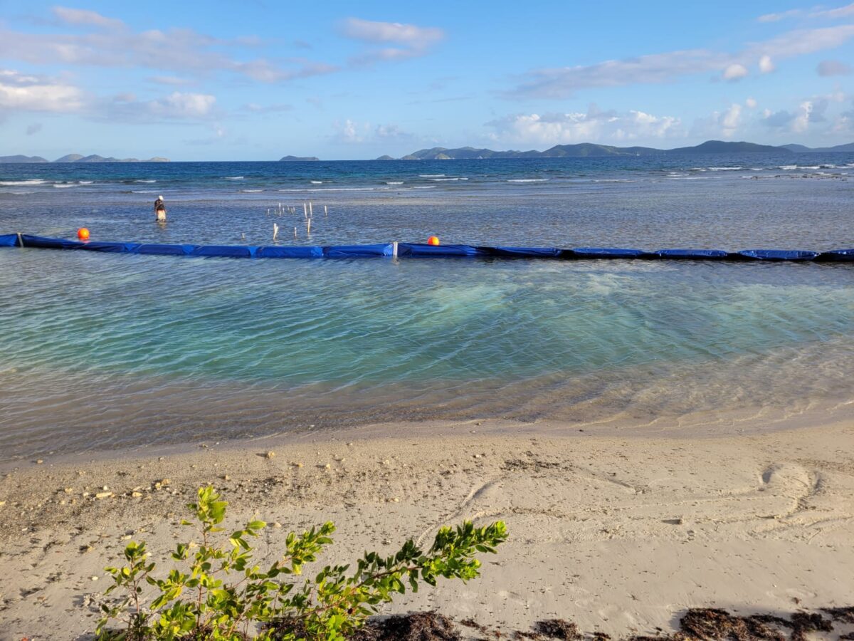 Case Study: Sargassum Control for Hospitality in the British Virgin ...